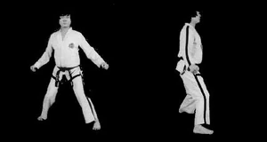 Crouched Stance | Taekwondo Wiki | Fandom