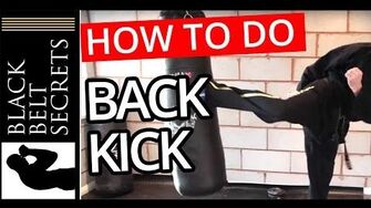 Back Kick | Taekwondo Wiki | Fandom