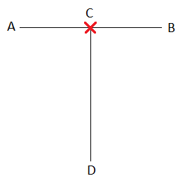 Choong-Jang | Taekwondo Wiki | Fandom