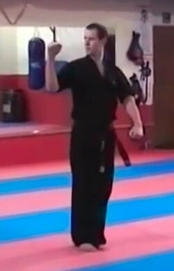 Rear Backfist Strike | Taekwondo Wiki | Fandom