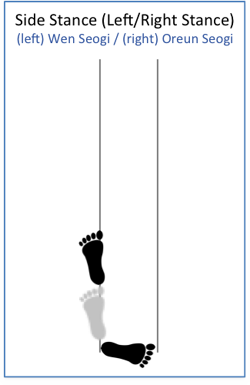 Left Stance and Right Stance | Taekwondo Wiki | Fandom