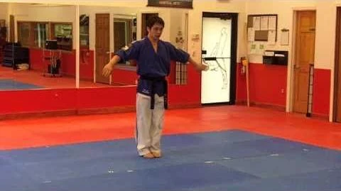 Palgwae Pal Jang | Taekwondo Wiki | Fandom