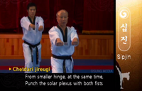 Sipjin | Taekwondo Wiki | Fandom