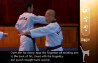 Sipjin | Taekwondo Wiki | Fandom