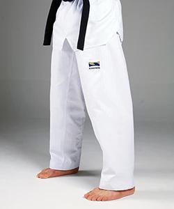 Diagonal Stance | Taekwondo Wiki | Fandom