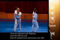 Taebaek | Taekwondo Wiki | Fandom