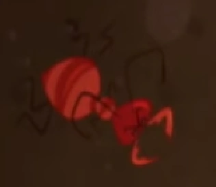 Fleas | Taffy Wiki | Fandom