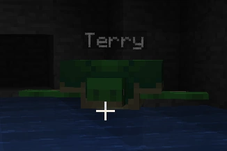 Terry | Taftcraft Wiki | Fandom