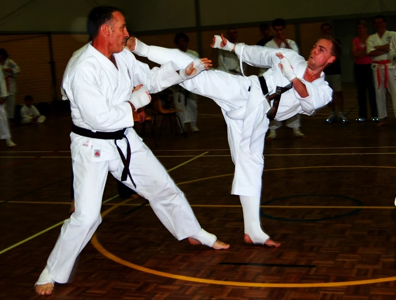 Karate | Taijitsu Wiki | Fandom