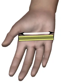 Palm (measurement) | Patternmaking and Tailoring Wiki | Fandom