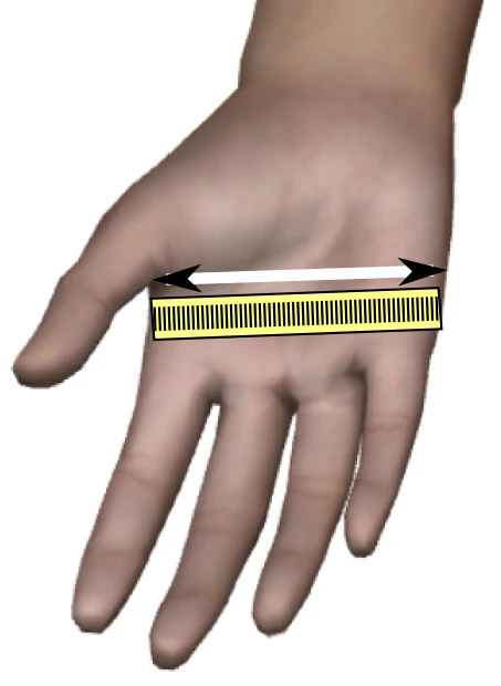 Palm (measurement) | Patternmaking and Tailoring Wiki | Fandom