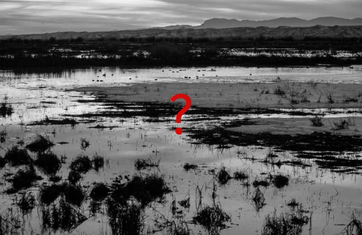 Alphus Marshlands | Taimanin Wiki | Fandom