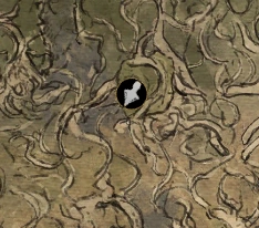 Bramble Shield | Tainted Grail: The Fall of Avalon Wiki | Fandom