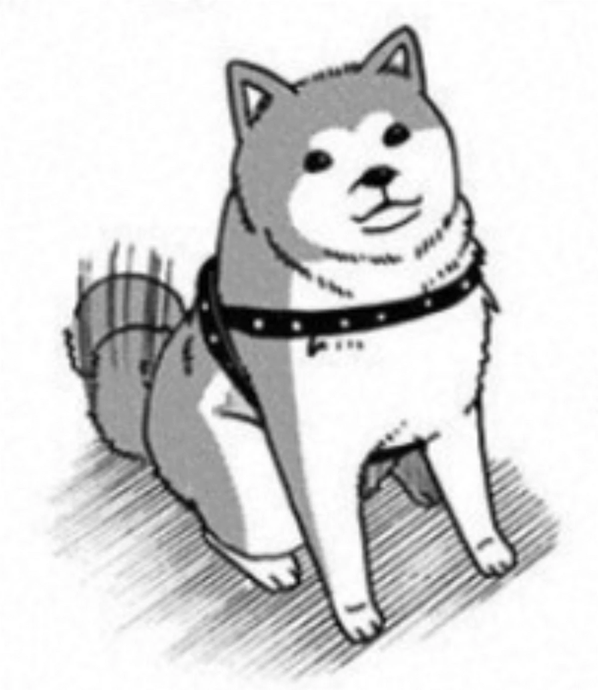 Hachi | Taisho Otome Fairy Tale Wiki | Fandom