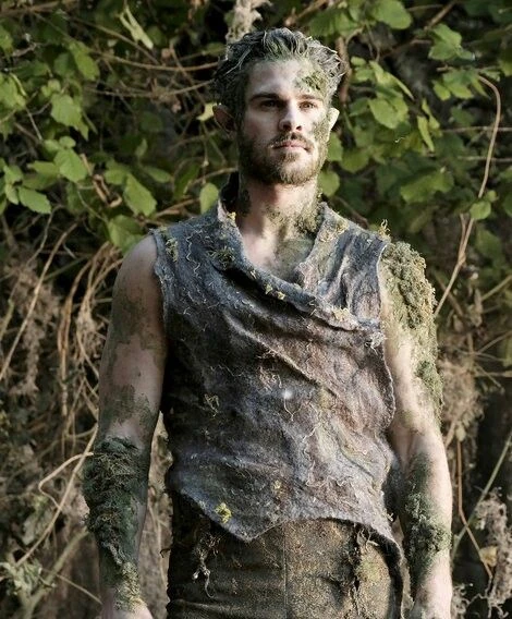 Tarron | Tajemnica Hogwartu Wiki | Fandom