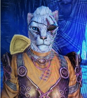 Swiftwing | Tale of Two Half Elves Wiki | Fandom