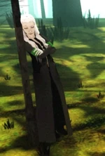 The Wolf | Tale of Tales Wiki | Fandom