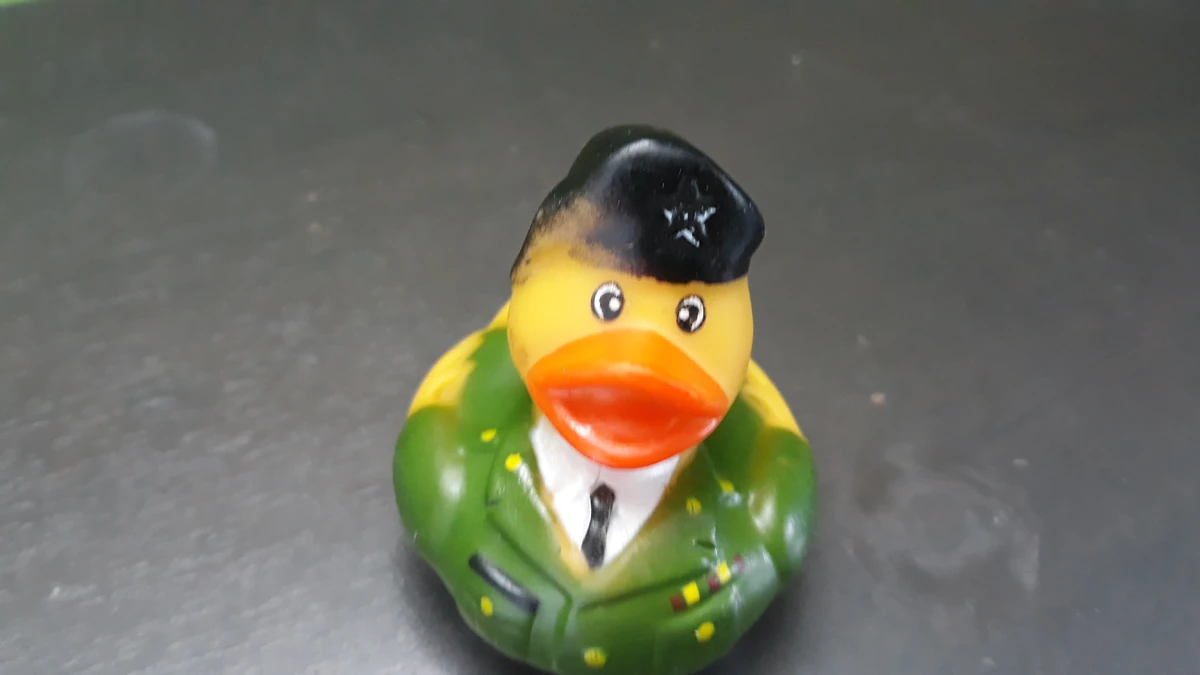 General Duck | Tales of a WonderVerse Wiki | Fandom