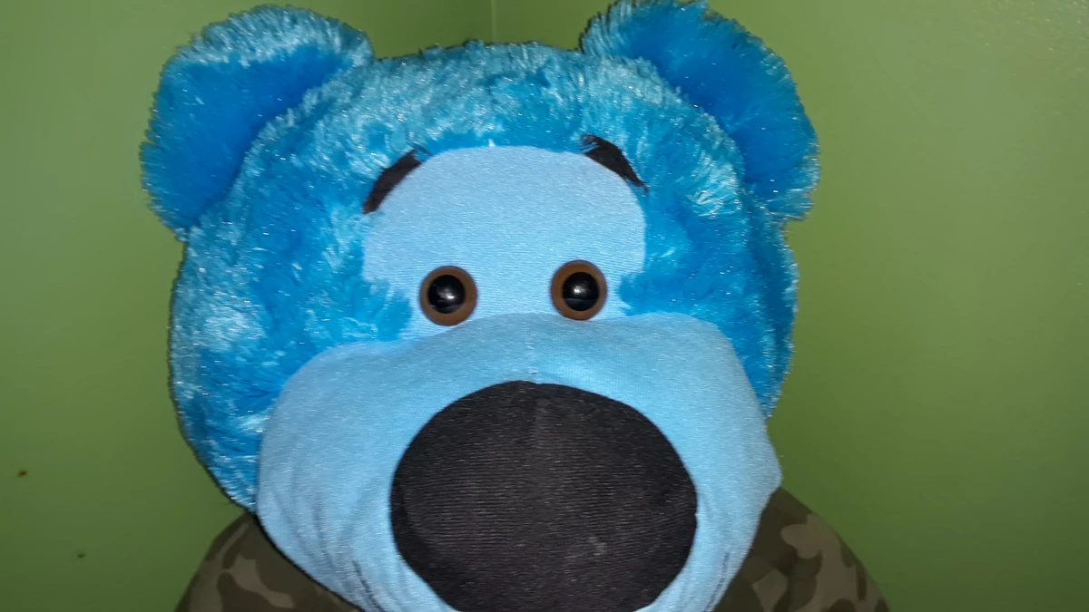Bruno The Army Bear | Tales of a WonderVerse Wiki | Fandom