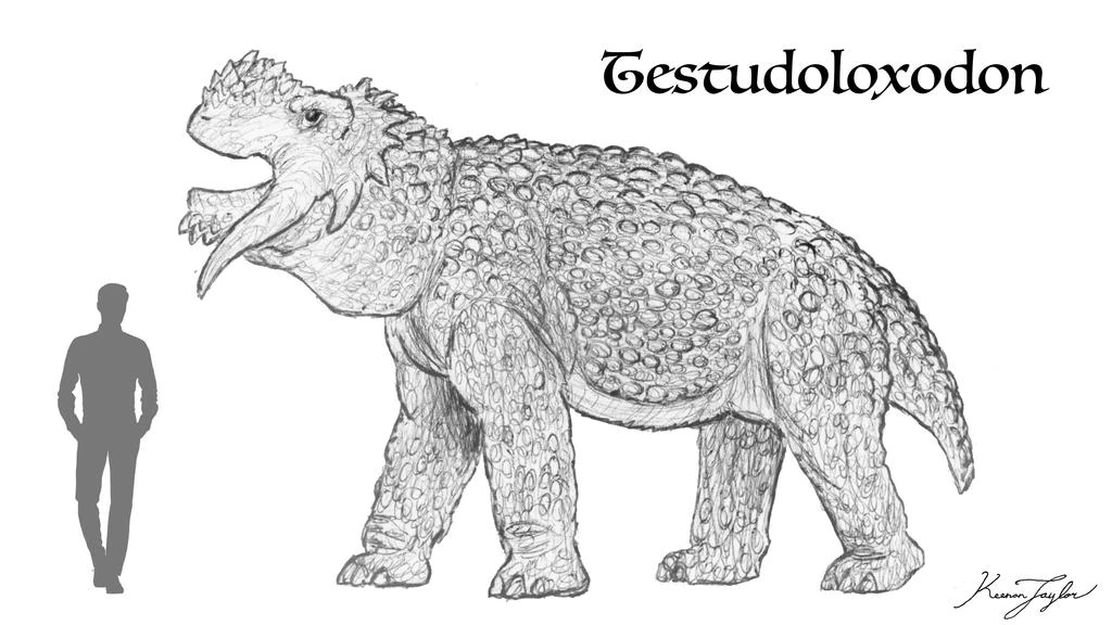 Testudoloxodon | Tales of Kaimere Wiki | Fandom