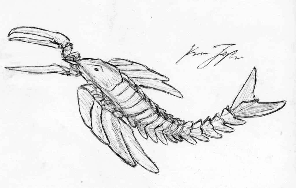 Reef Centipede | Tales of Kaimere Wiki | Fandom