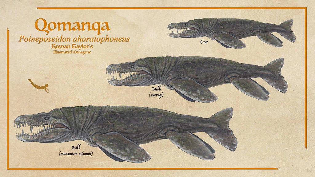 Qomanqa | Tales of Kaimere Wiki | Fandom