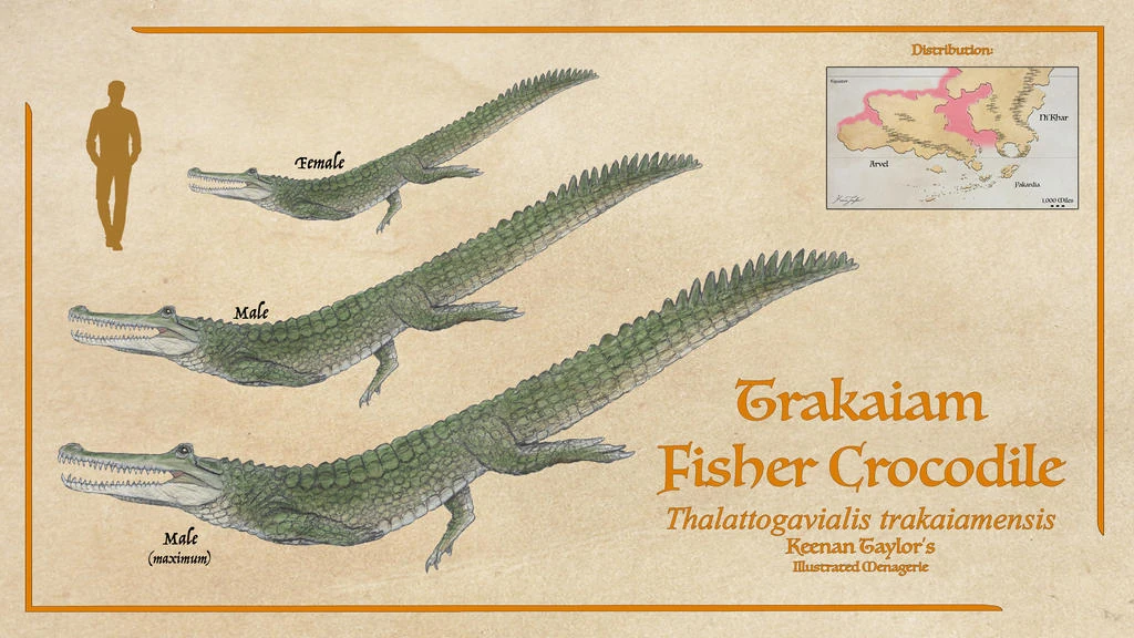 Trakaiam Fisher Crocodile | Tales of Kaimere Wiki | Fandom