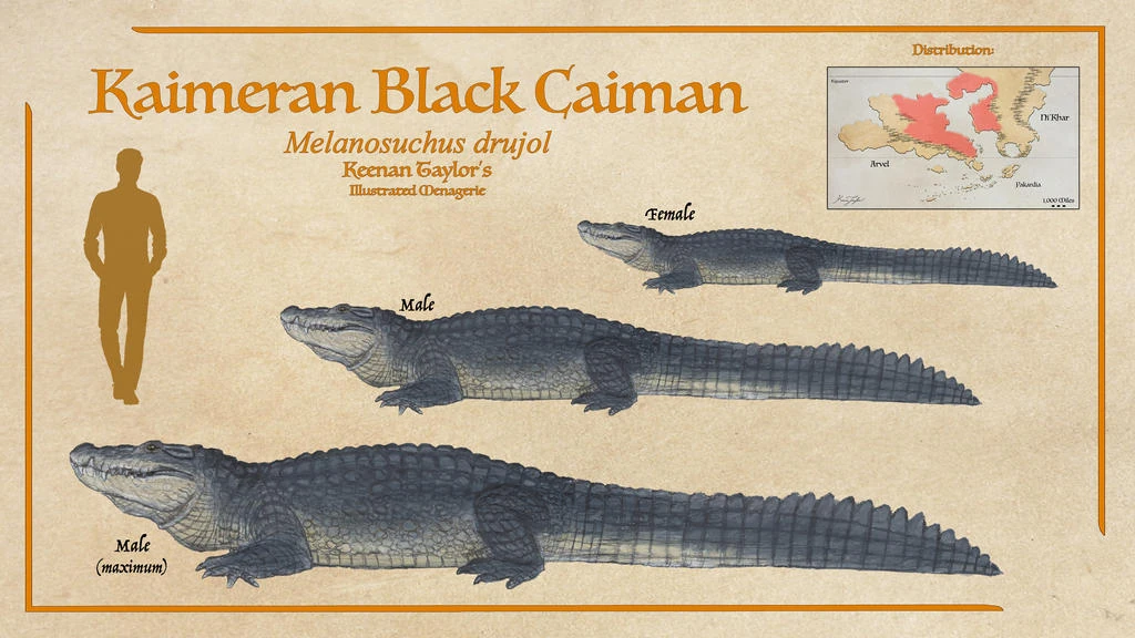 Kaimeran Black Caiman | Tales of Kaimere Wiki | Fandom