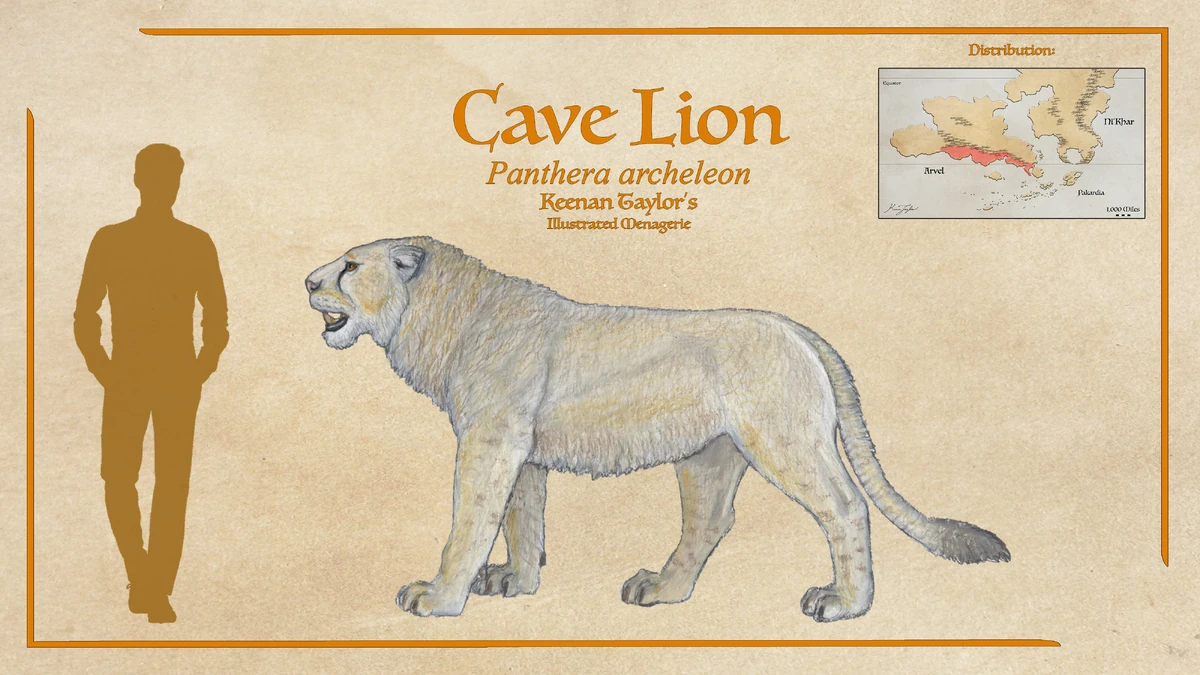 Cave Lion | Tales of Kaimere Wiki | Fandom