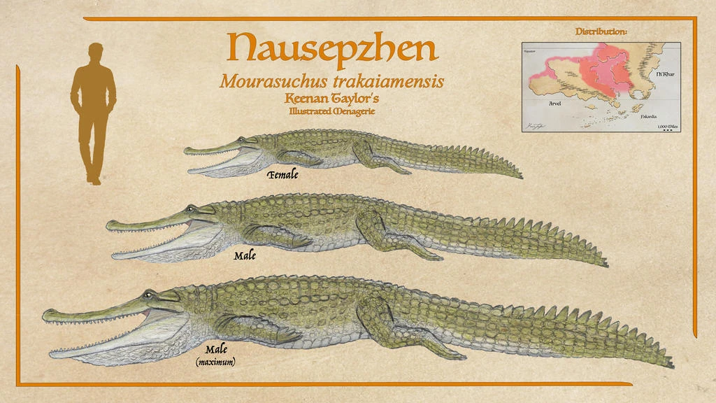 Nausepzhen | Tales of Kaimere Wiki | Fandom