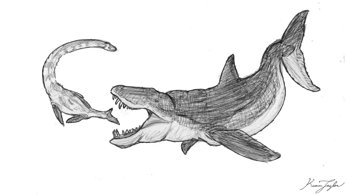 Ichthyotherium ionisii † | Tales of Kaimere Wiki | Fandom