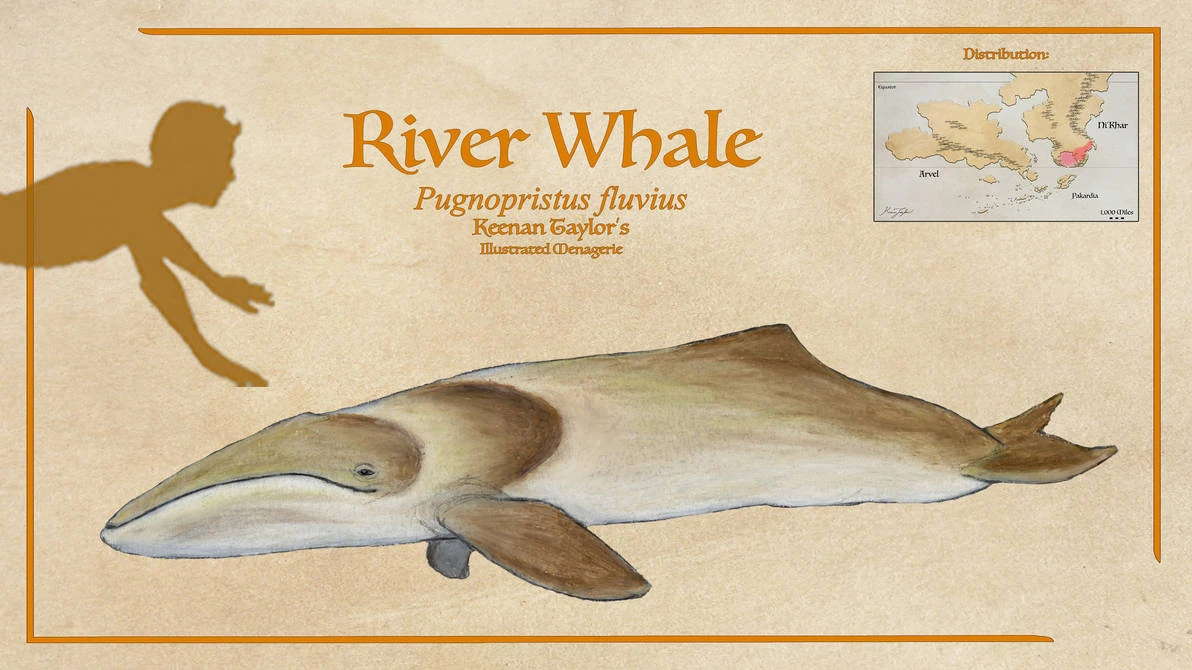 River Whale | Tales of Kaimere Wiki | Fandom