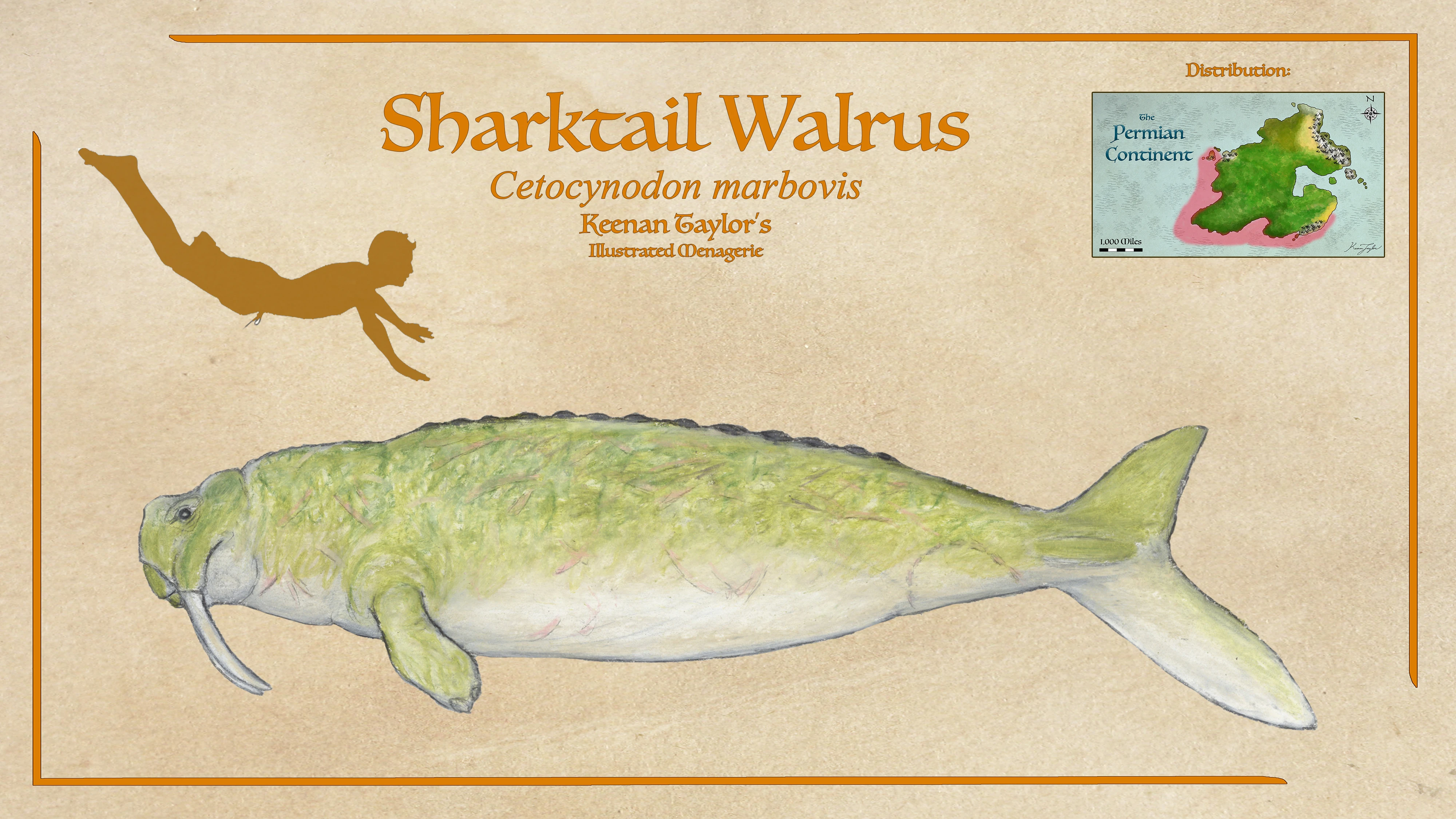 Sharktail Walrus | Tales of Kaimere Wiki | Fandom