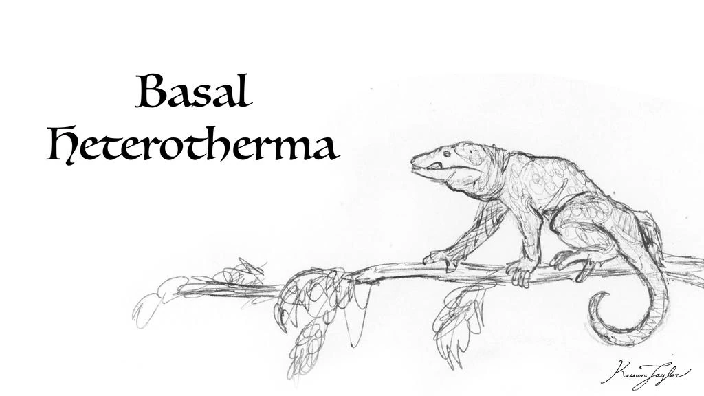 Heterotherms | Tales of Kaimere Wiki | Fandom