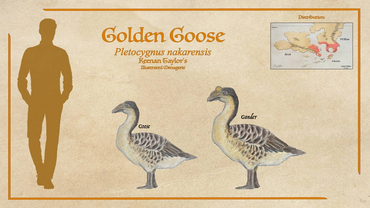 Golden Goose | Tales of Kaimere Wiki | Fandom