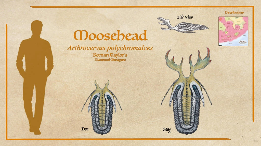 Moosehead | Tales of Kaimere Wiki | Fandom