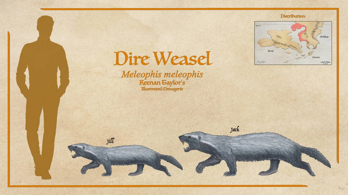 Dire Weasel | Tales of Kaimere Wiki | Fandom