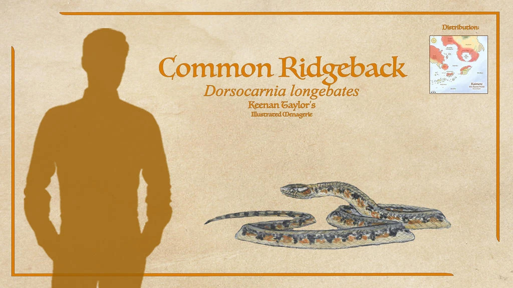 Common Ridgeback | Tales of Kaimere Wiki | Fandom