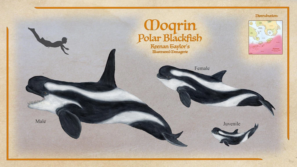 Moqrin | Tales of Kaimere Wiki | Fandom