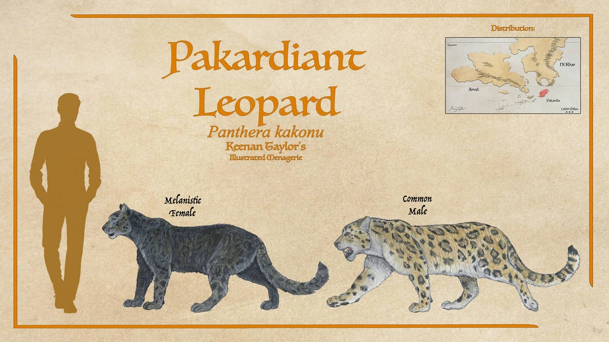 Pakardiant Leopard | Tales of Kaimere Wiki | Fandom