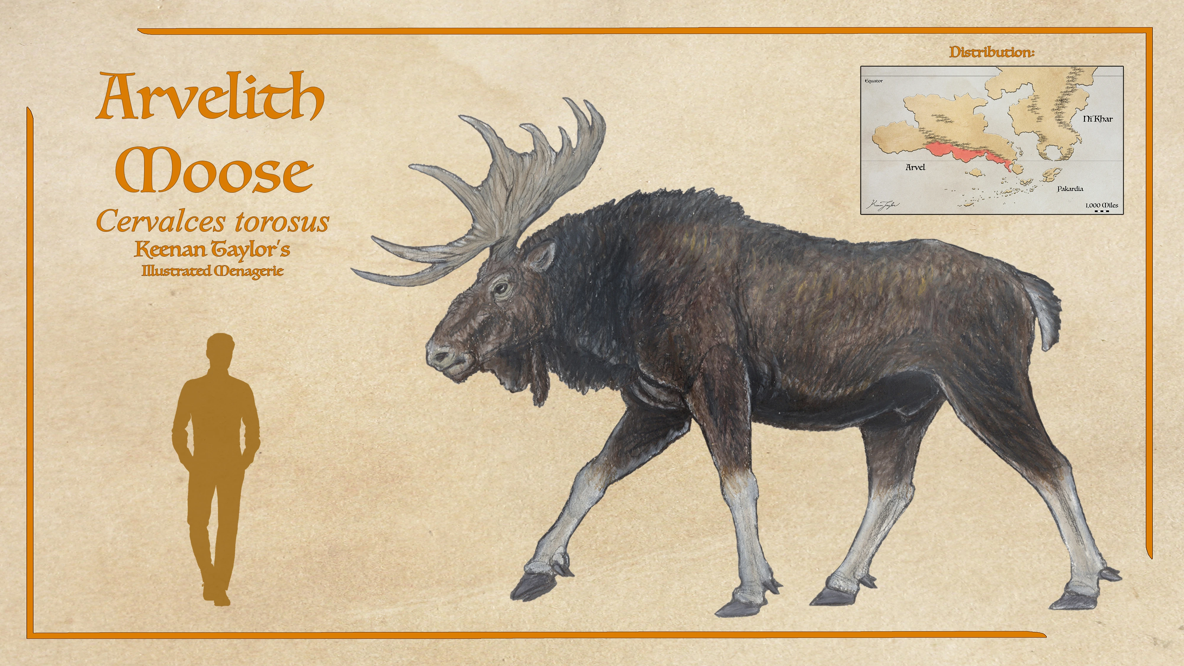 Arvelith Moose | Tales of Kaimere Wiki | Fandom