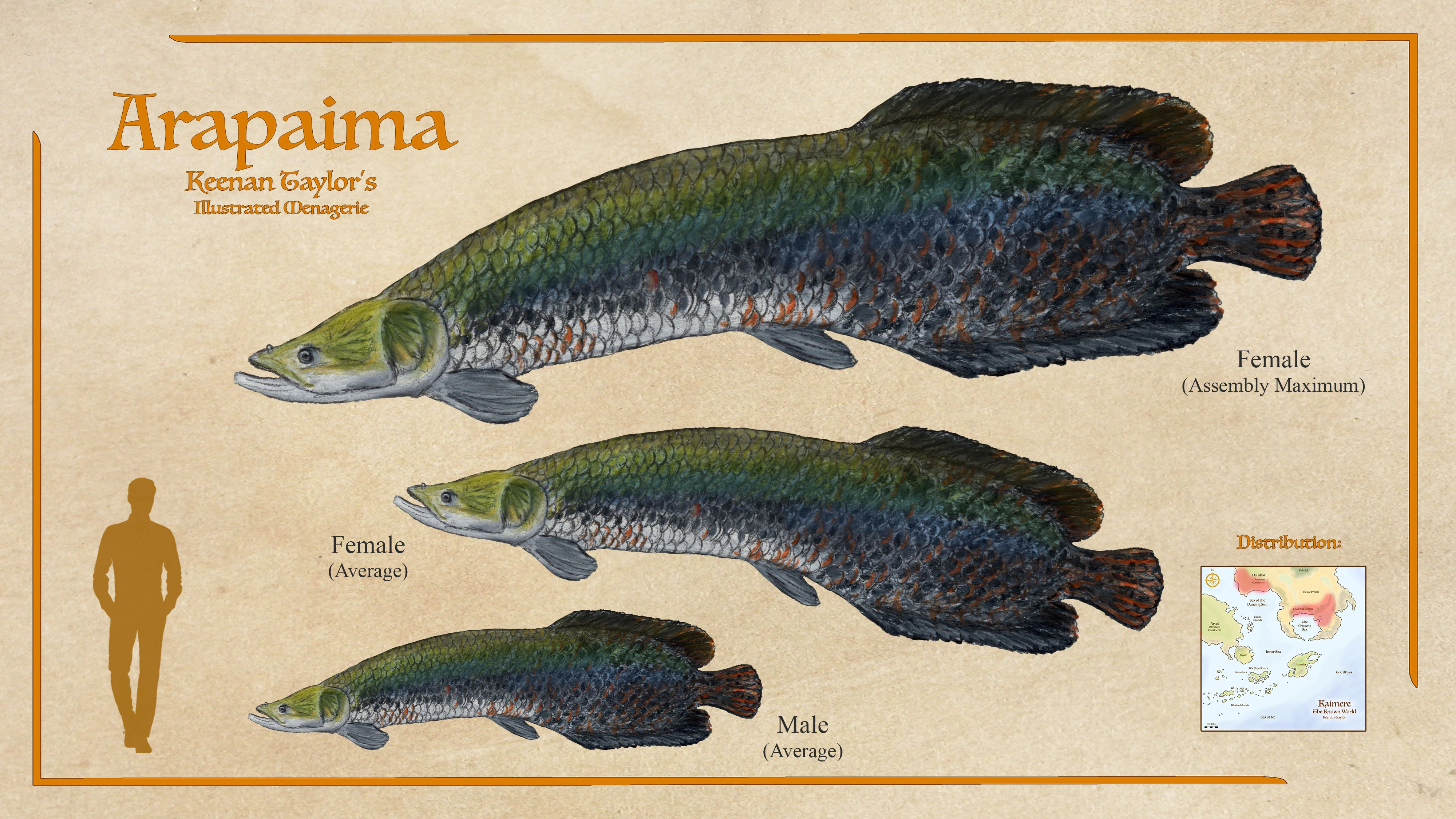 Arapaima | Tales of Kaimere Wiki | Fandom