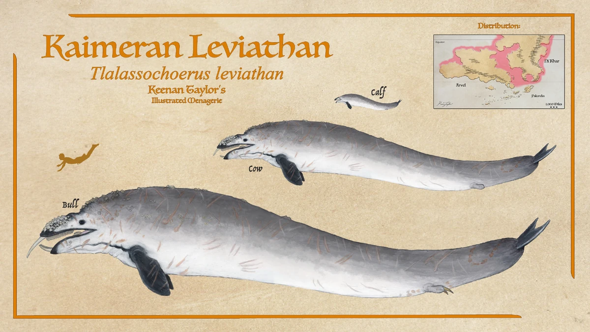 Kaimeran Leviathan | Tales of Kaimere Wiki | Fandom
