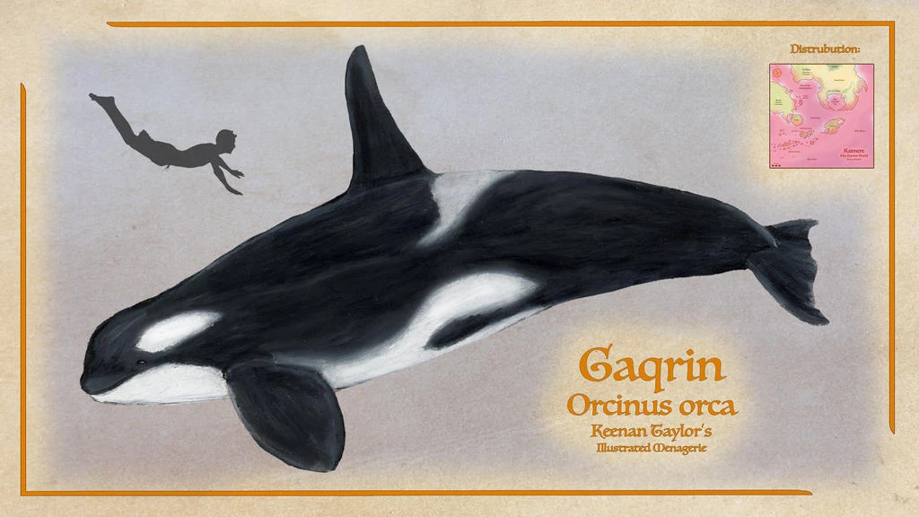 Orca | Tales of Kaimere Wiki | Fandom