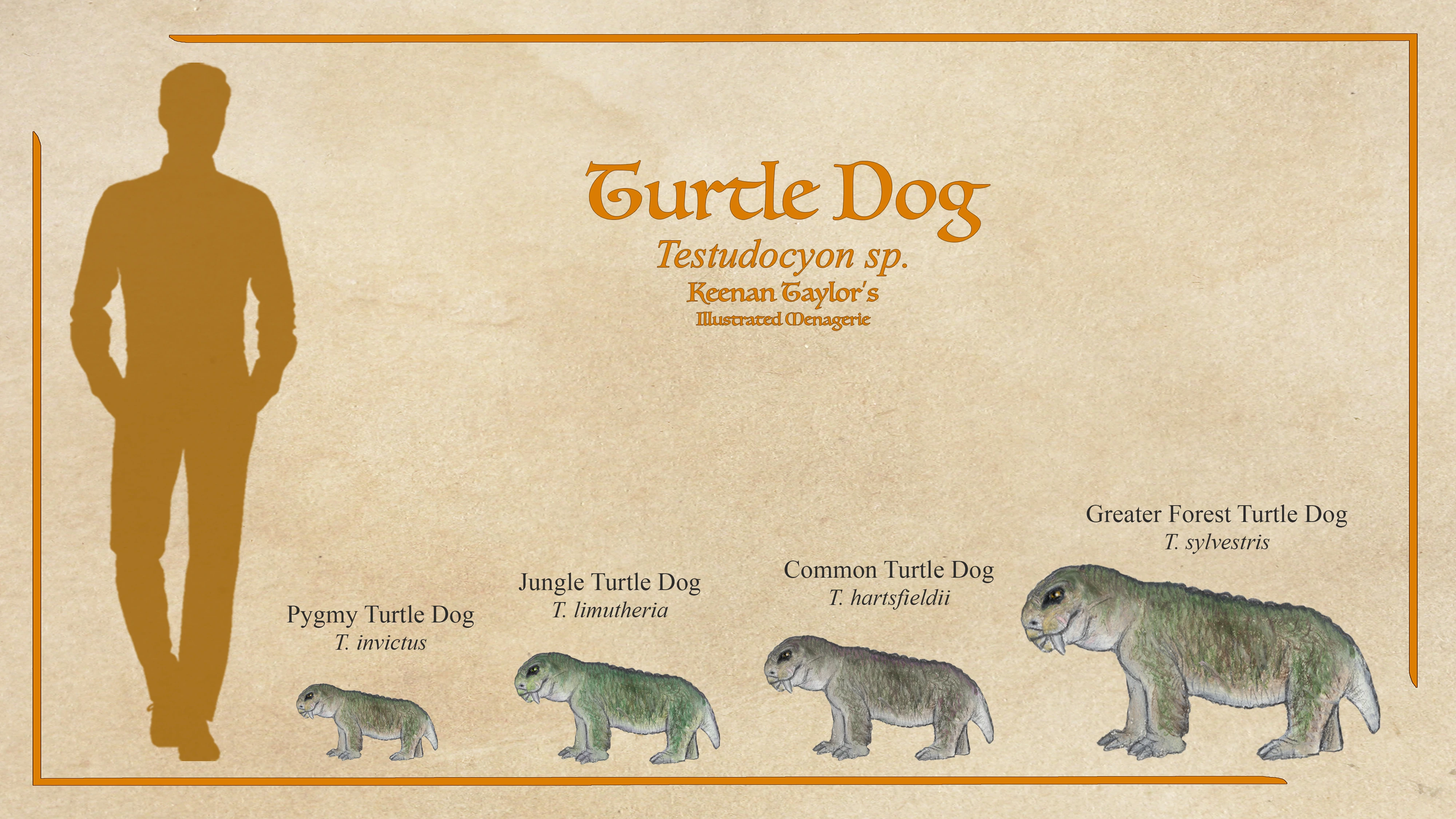Common Turtle Dog | Tales of Kaimere Wiki | Fandom