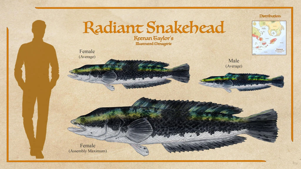 Radiant Snakehead | Tales of Kaimere Wiki | Fandom