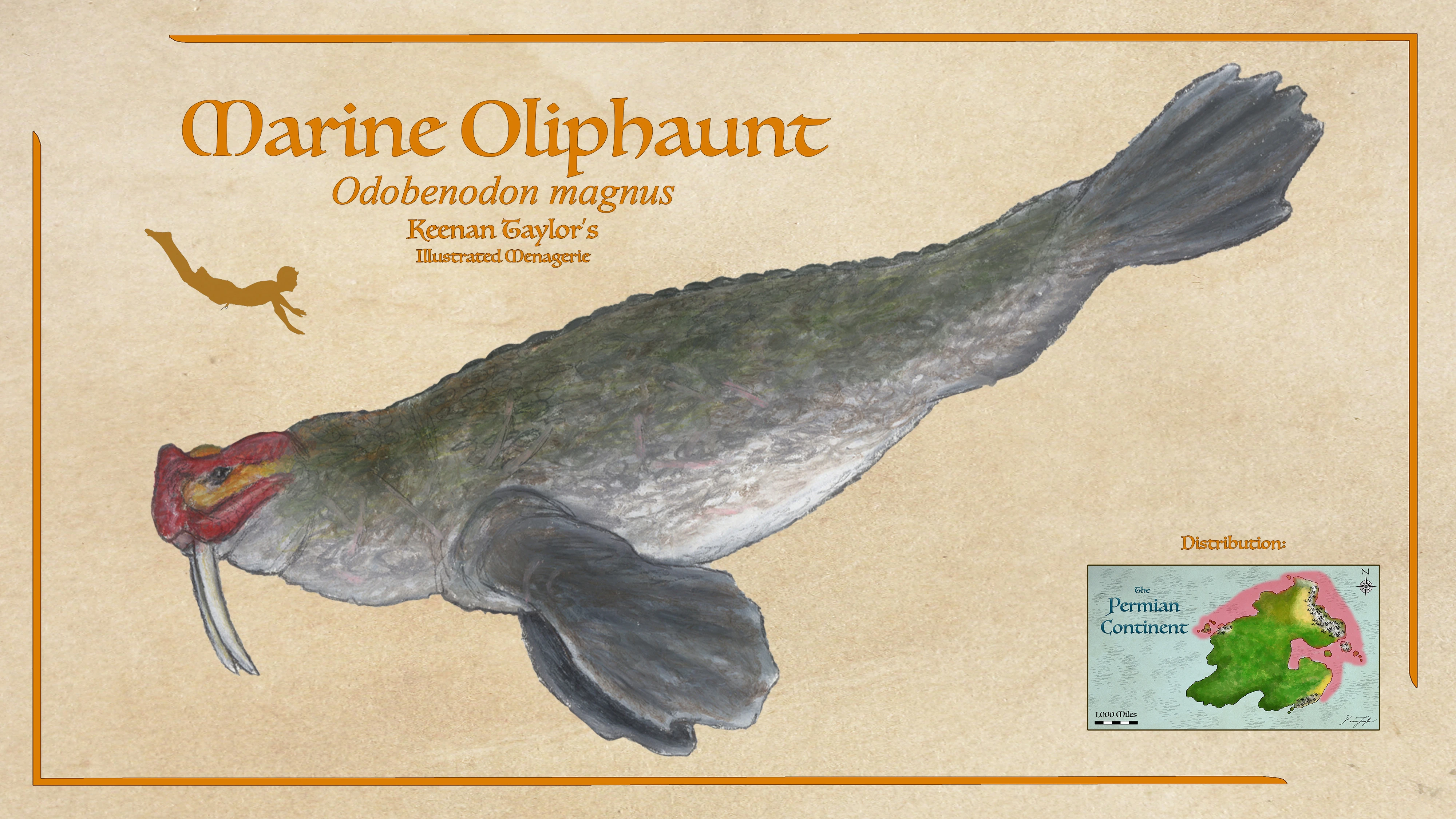 Marine Oliphaunt | Tales of Kaimere Wiki | Fandom