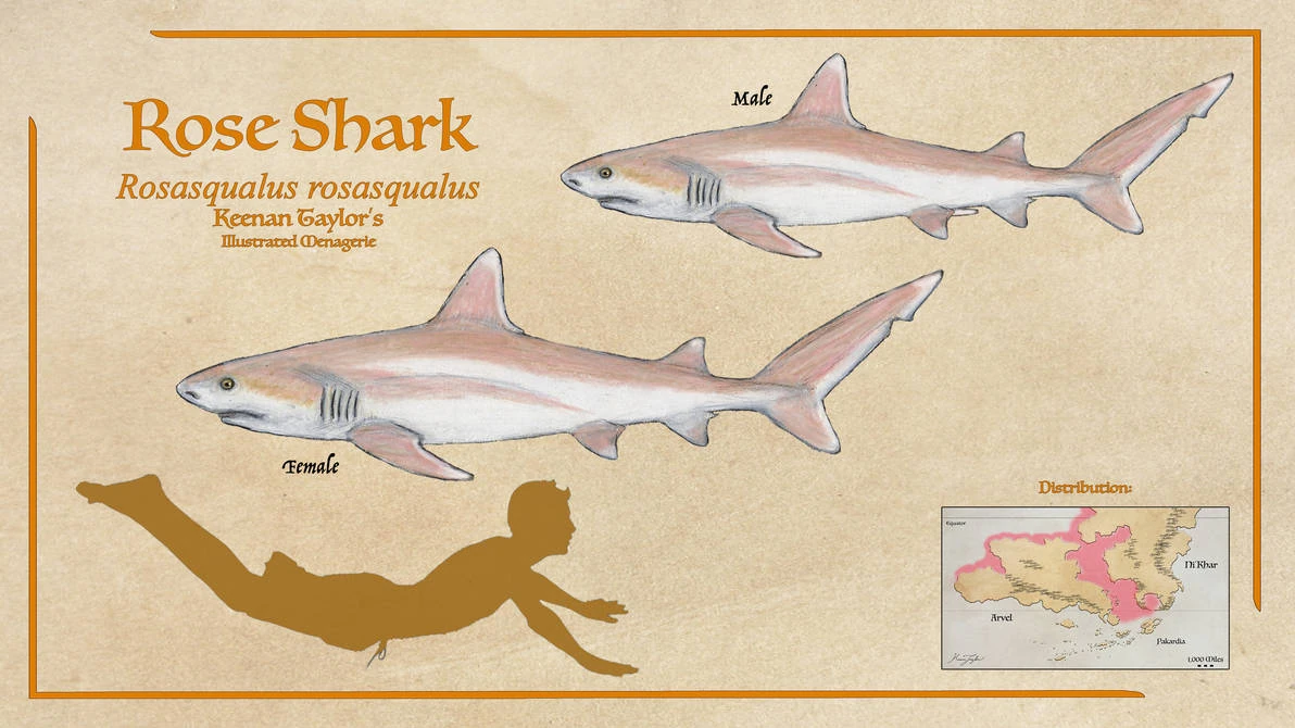 Rose Shark | Tales of Kaimere Wiki | Fandom