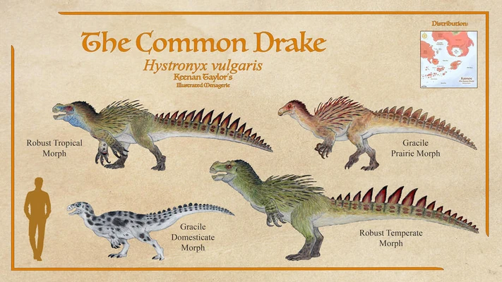 Drake | Tales of Kaimere Wiki | Fandom