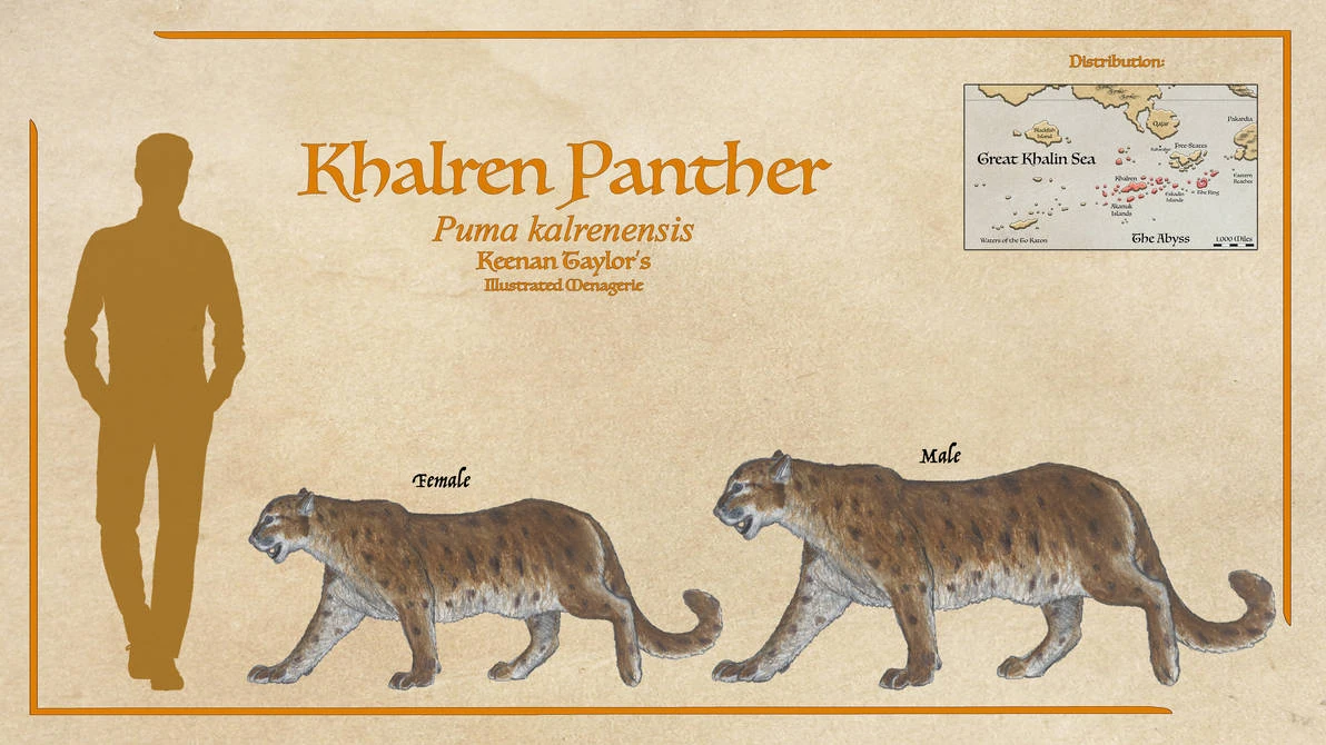 Khalren Panther | Tales of Kaimere Wiki | Fandom